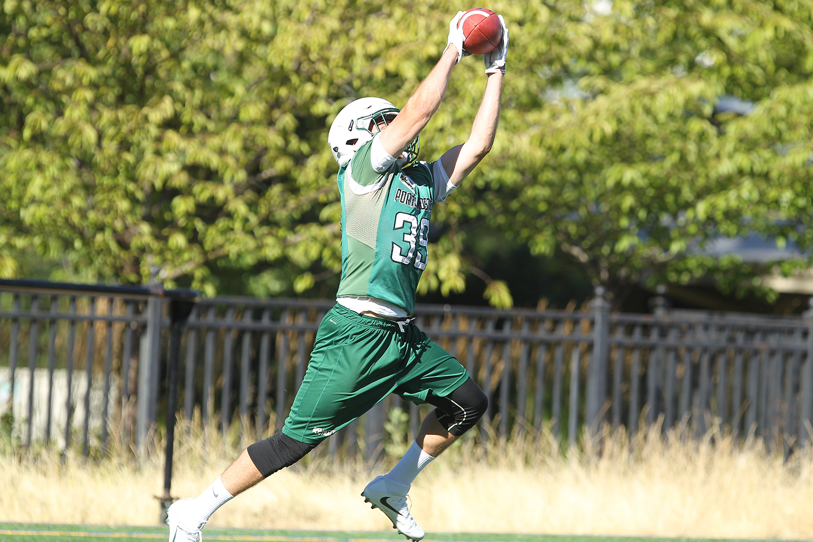 Beau Duronslet - 2017 - Football - Portland State University Athletics