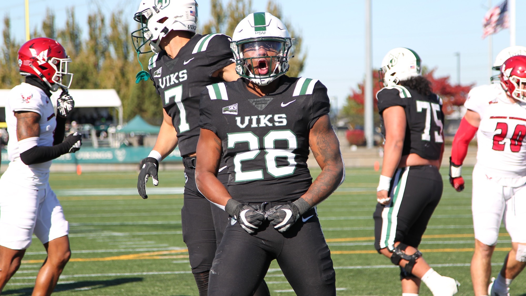 Malary's 6-TD Day Ties School Record As Vikings Run Over Eagles For 47 ...