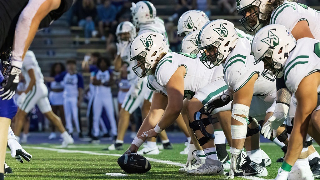 Vikings Football Will Return To Providence Park For Nov. 15 Game With ...