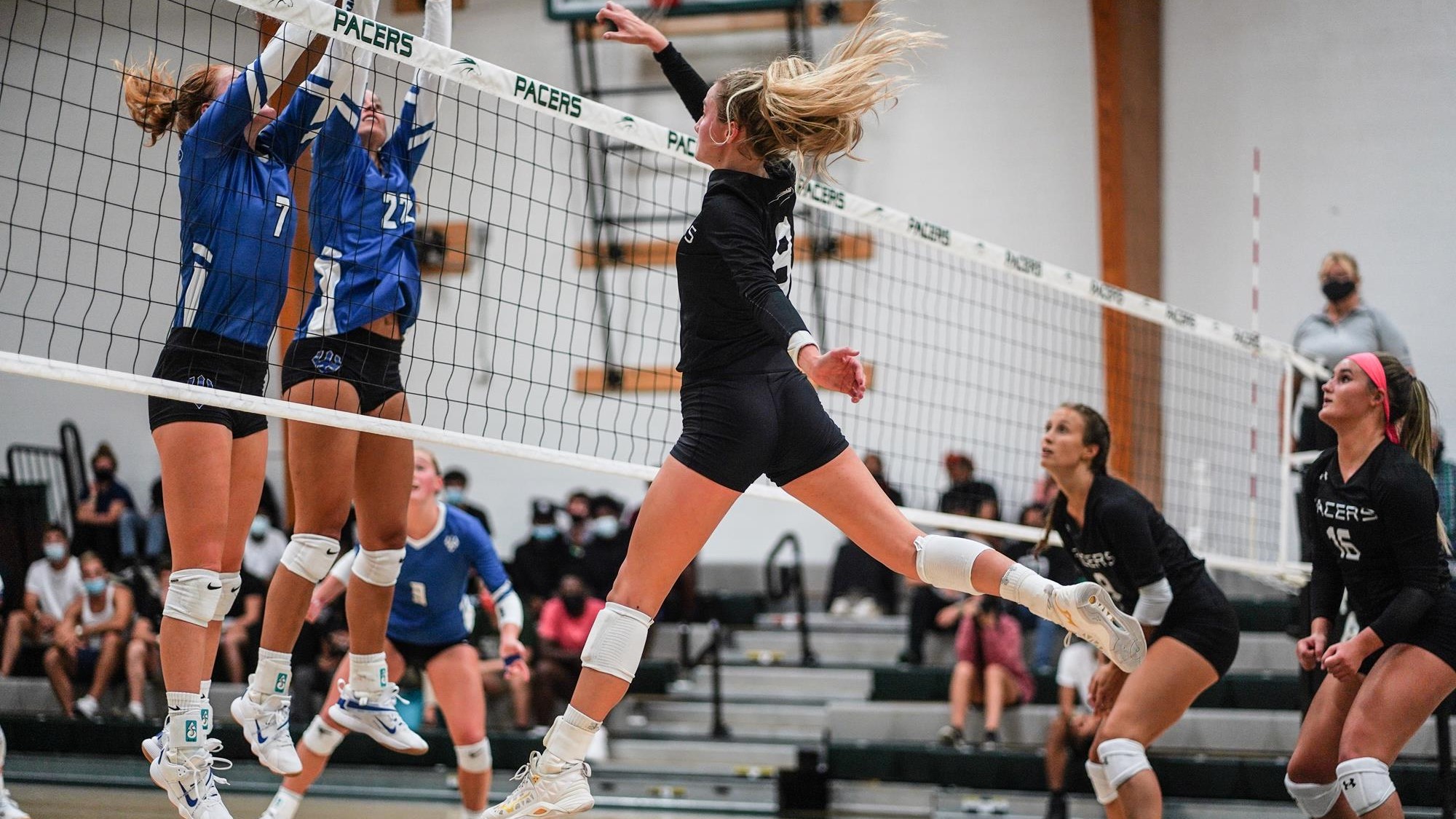 Hannah Collier - 2023 - Women's Volleyball - William Peace University ...