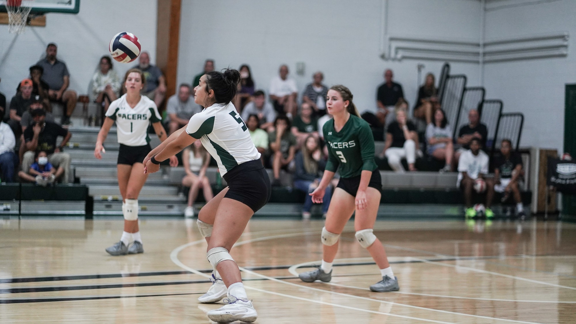 Volleyball Falls To UMW And Stevenson - William Peace University Athletics