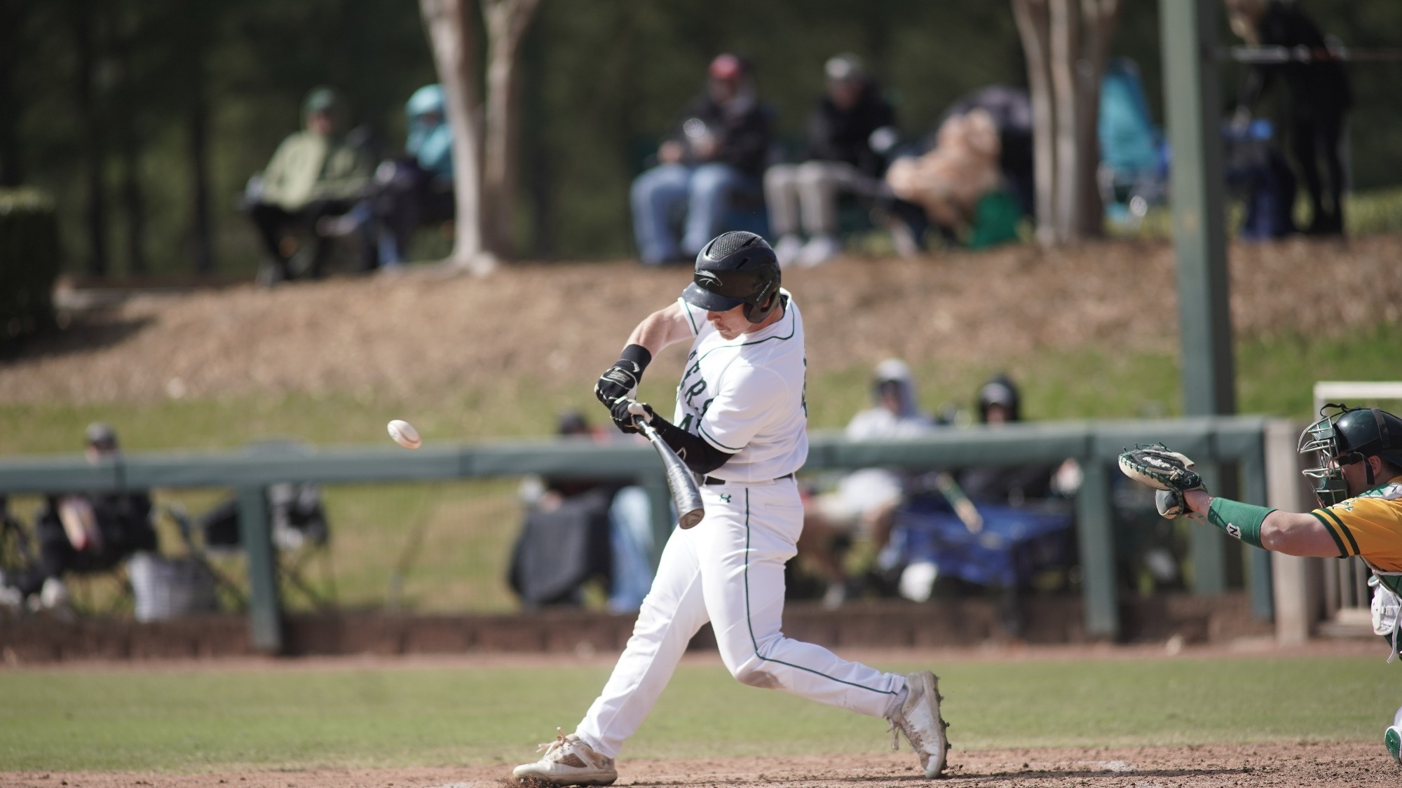 Patrick Rogan Named USA South Baseball Player Of The Week - William ...