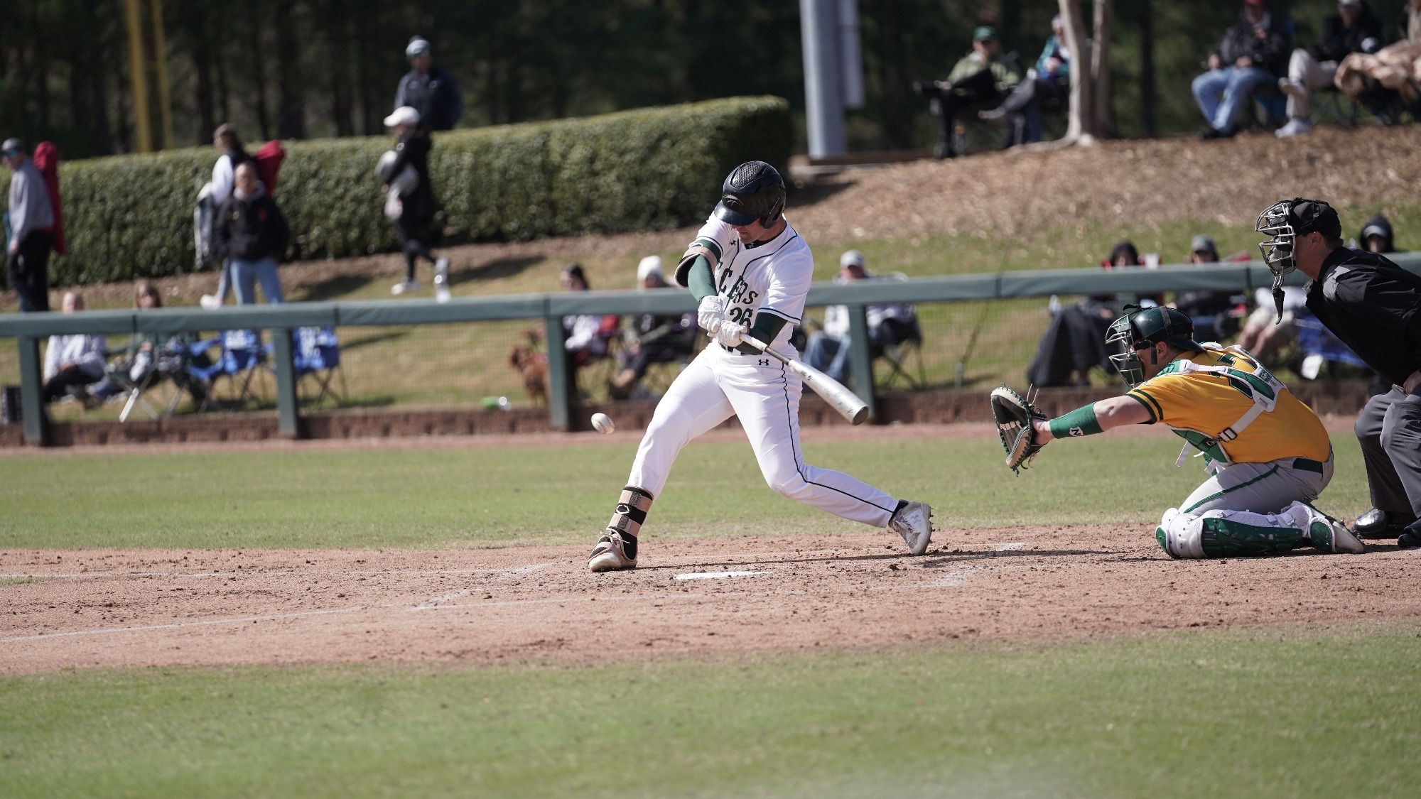 Baseball Splits With NCWU - William Peace University Athletics