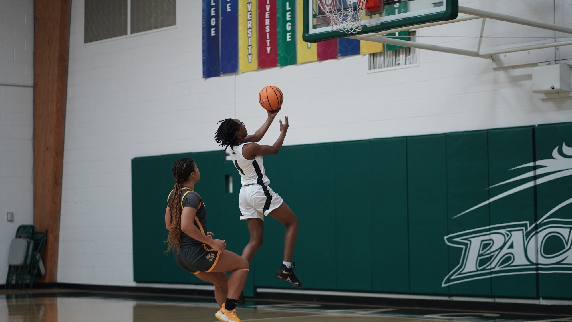 Tanaesha Ellison - 2023-24 - Women's Basketball - William Peace ...