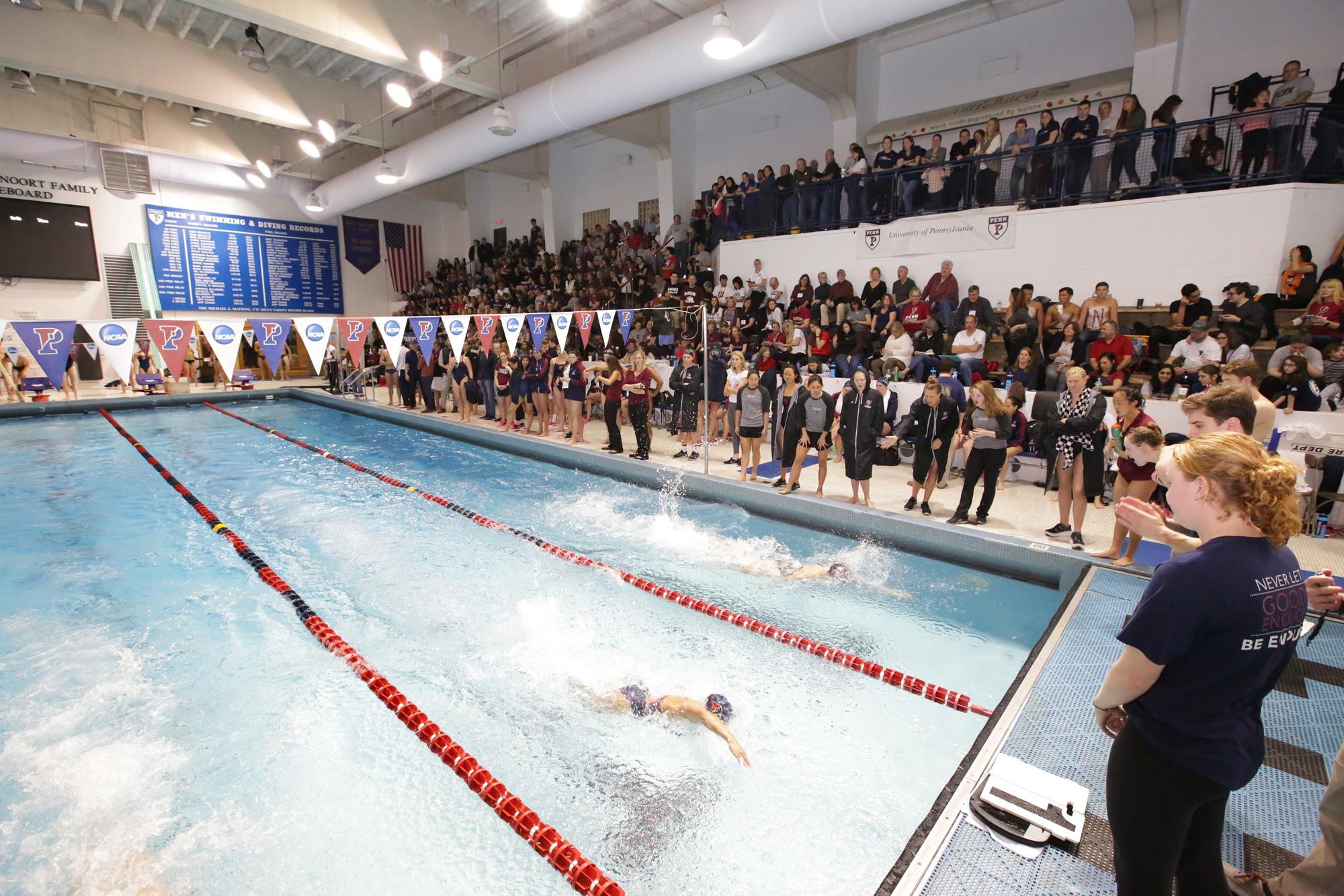 Swim Teams Close Out Calendar Year With Big Al Invitational ...