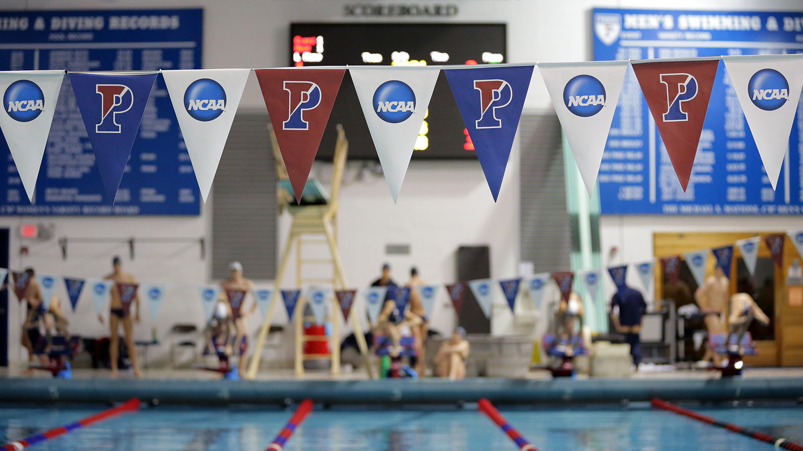 Swimming & Diving Programs Named CSCAA Scholar All-America Teams ...