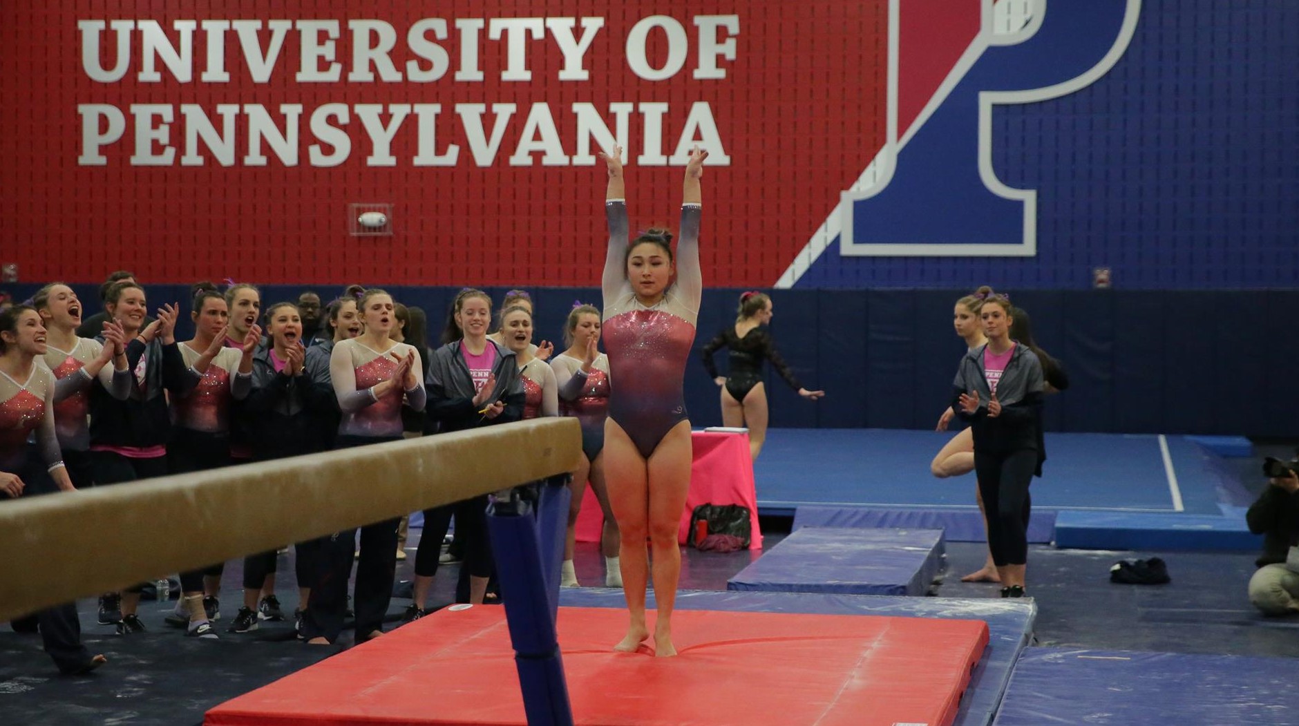 Darcy Matsuda - Women's Gymnastics - University of Pennsylvania Athletics