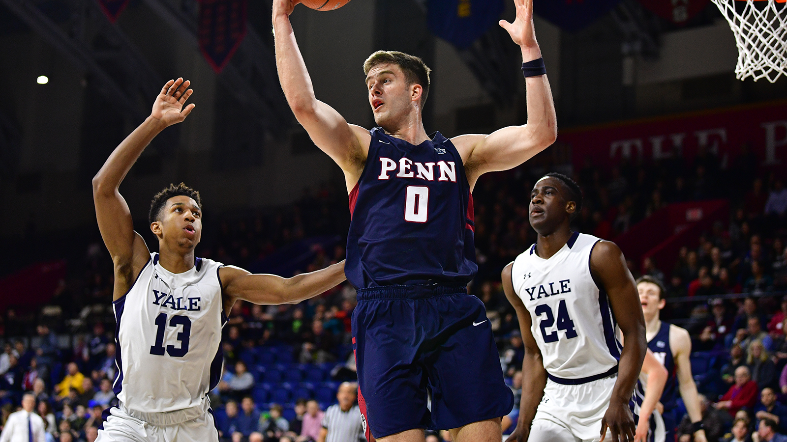 Max Rothschild - Men's Basketball - University of Pennsylvania Athletics