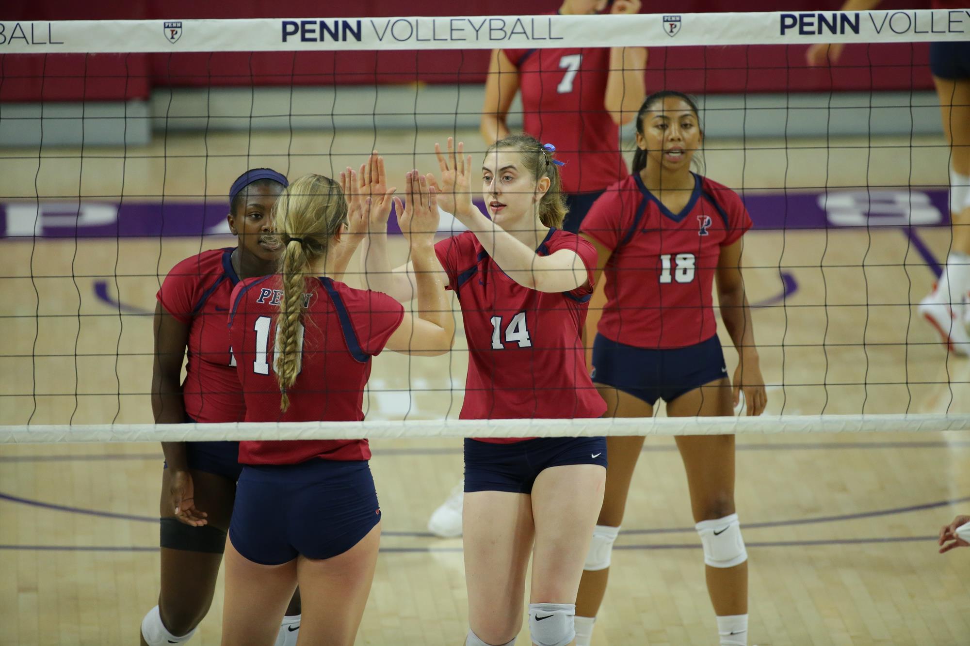 Brooke Behrbaum - Women's Volleyball - University of Pennsylvania Athletics