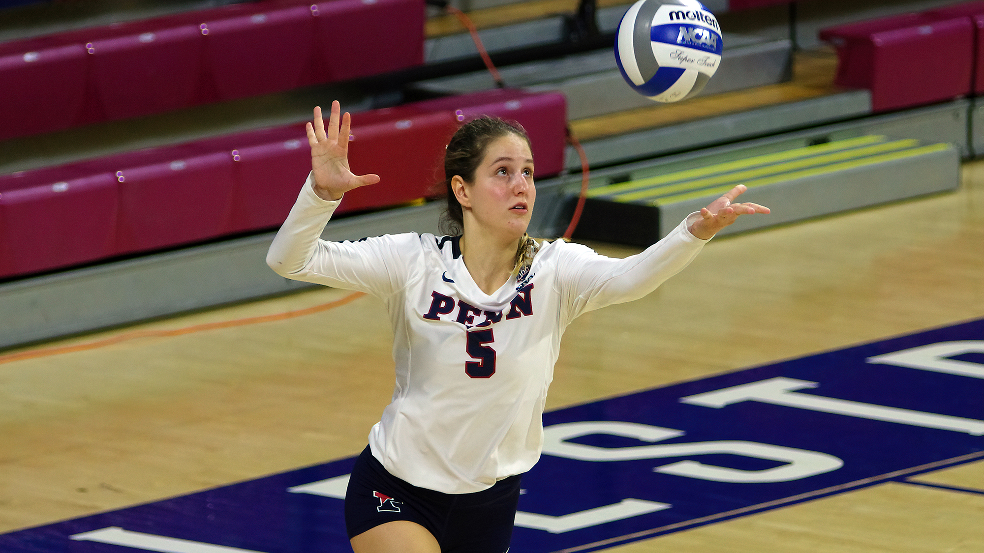 Carly Cohen - Women's Volleyball - University of Pennsylvania Athletics