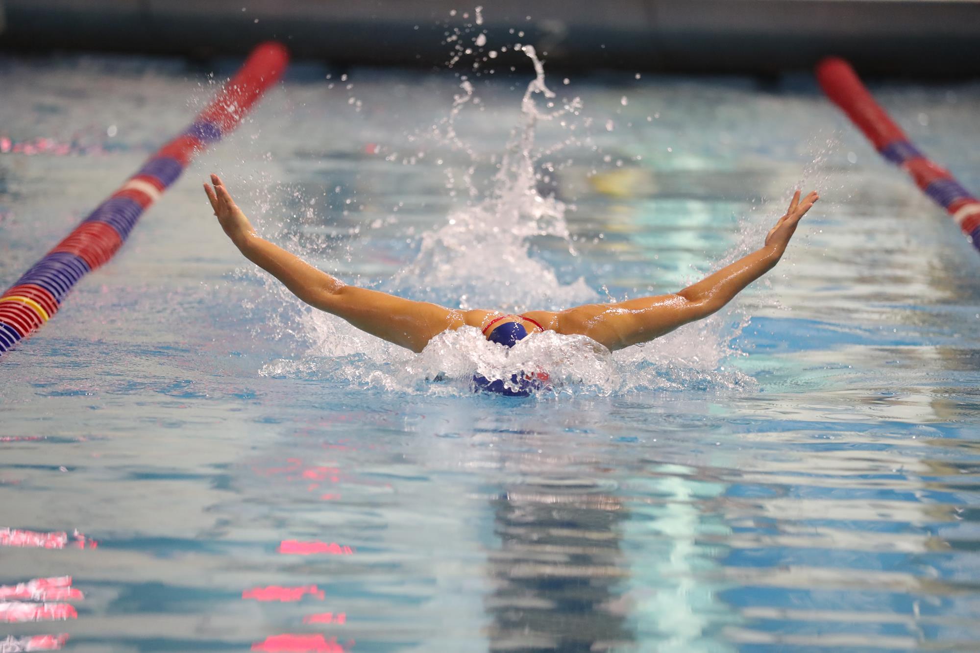 Harvard Tops Women's Swimming & Diving on Saturday - University of ...