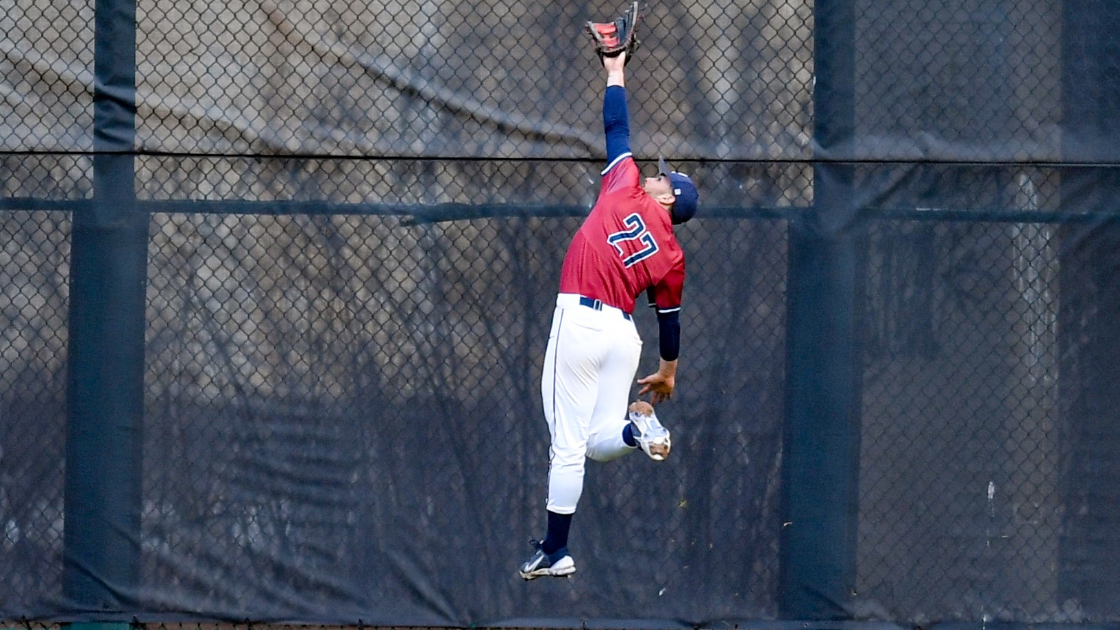 Tommy Courtney - Baseball - University of Pennsylvania Athletics