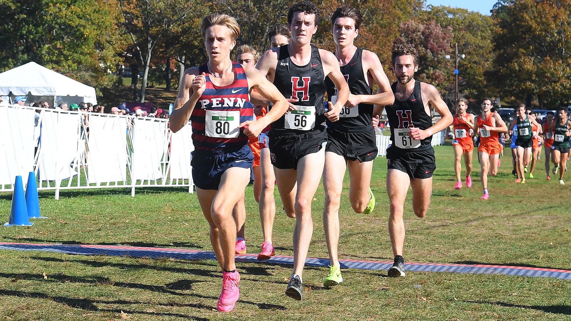 XC Readies For Ivy Heps Friday At Historic Van Cortlandt Park ...