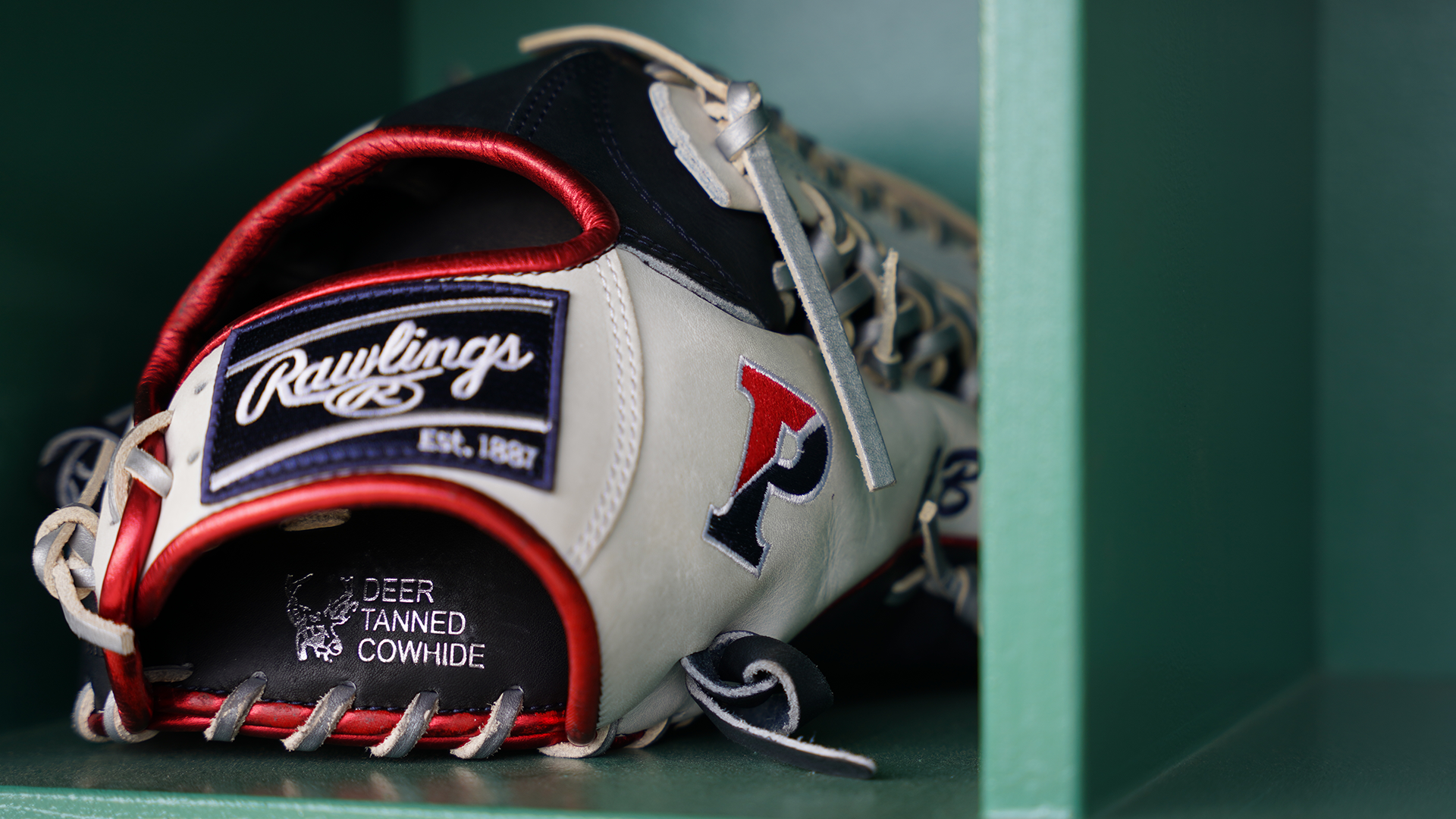 Meiklejohn Stadium Renovation Project; Updated Fundraising Deadline of ...