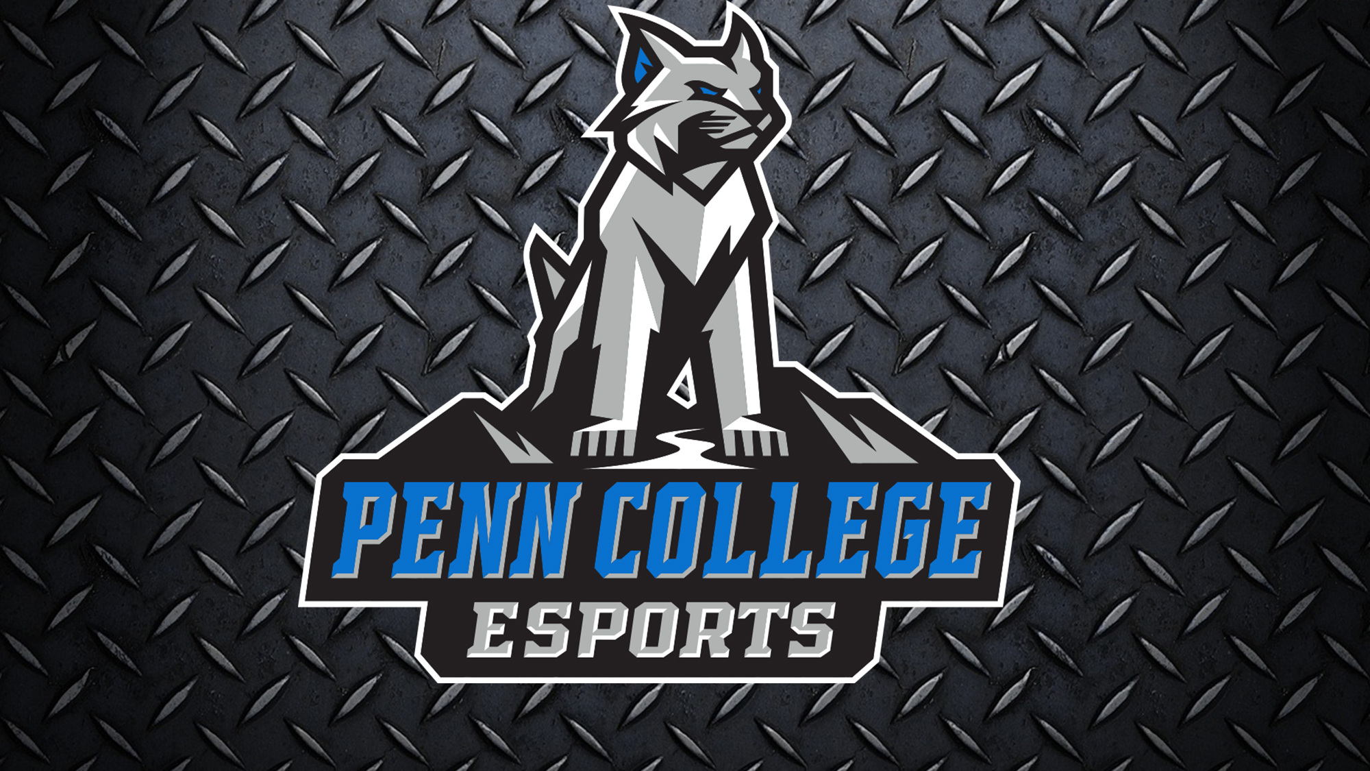 Esports Wraps Up First Season - Penn College of Technology Athletics