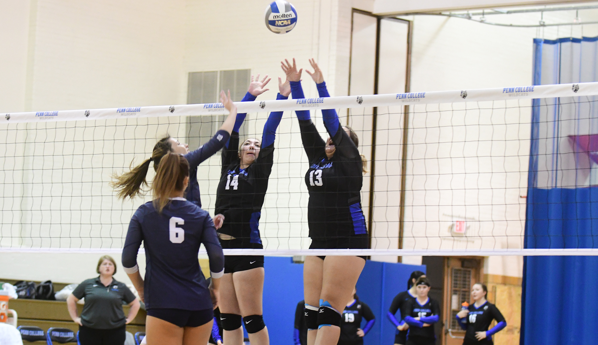 Wildcats drop UE doubleheader - Penn College of Technology Athletics