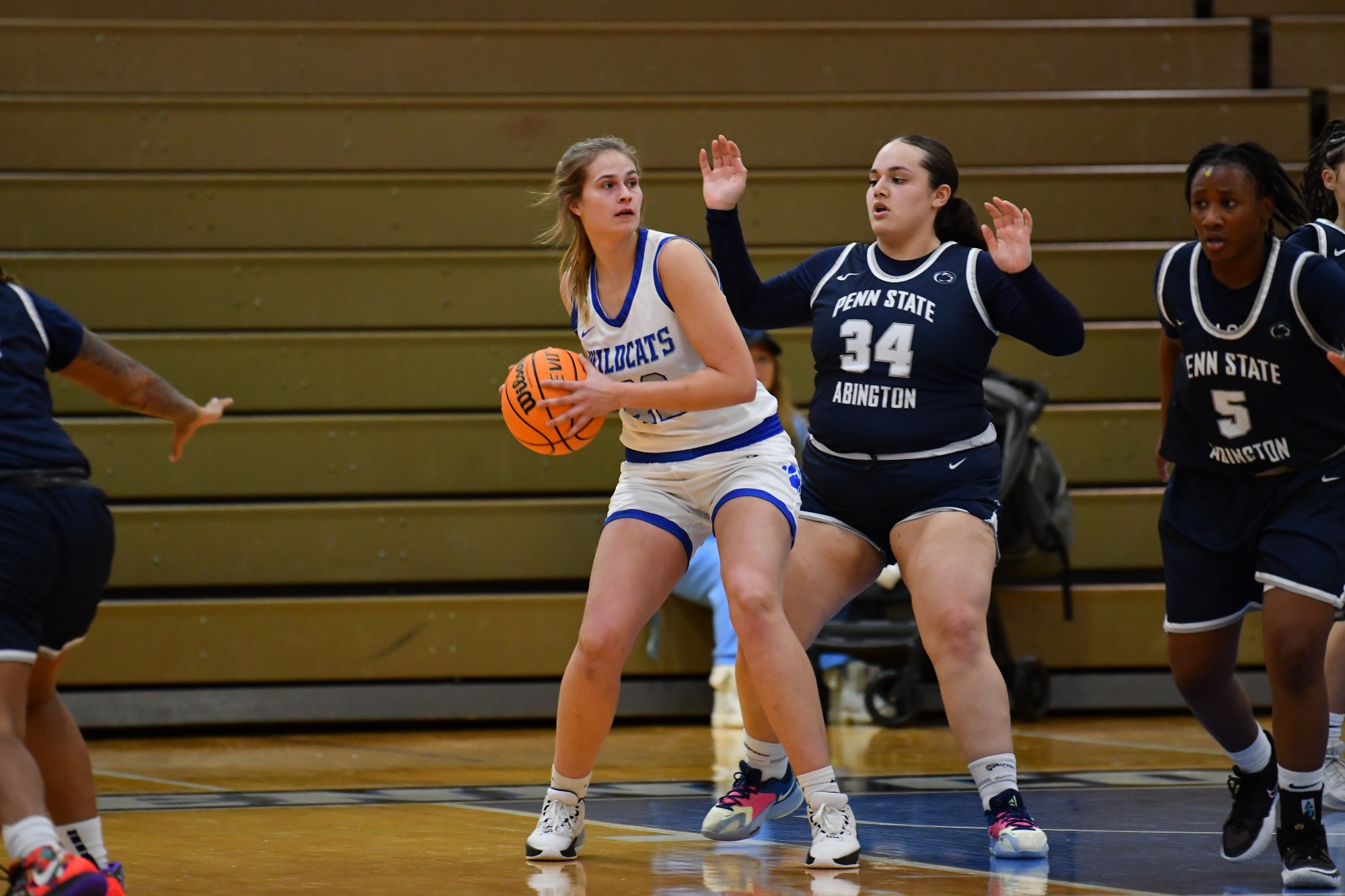 Hitesman's Double Figure Scoring Leads Wildcats at Harrisburg - Penn ...