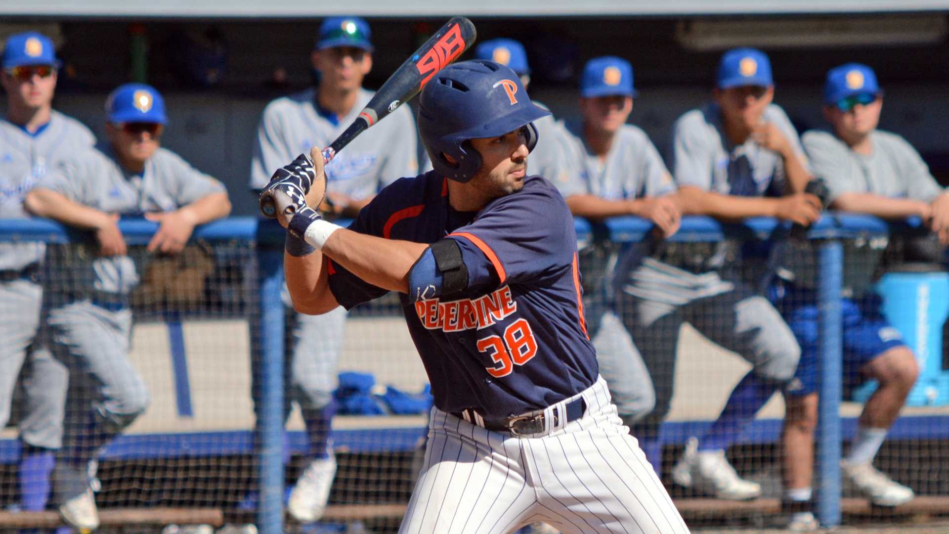 Matthew Kanfer - Baseball - Pepperdine University Athletics