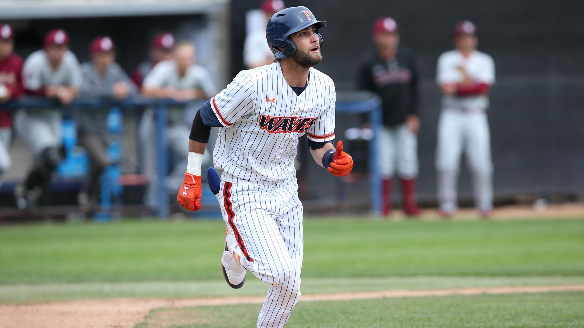 Brandt Belk - Baseball - Pepperdine University Athletics