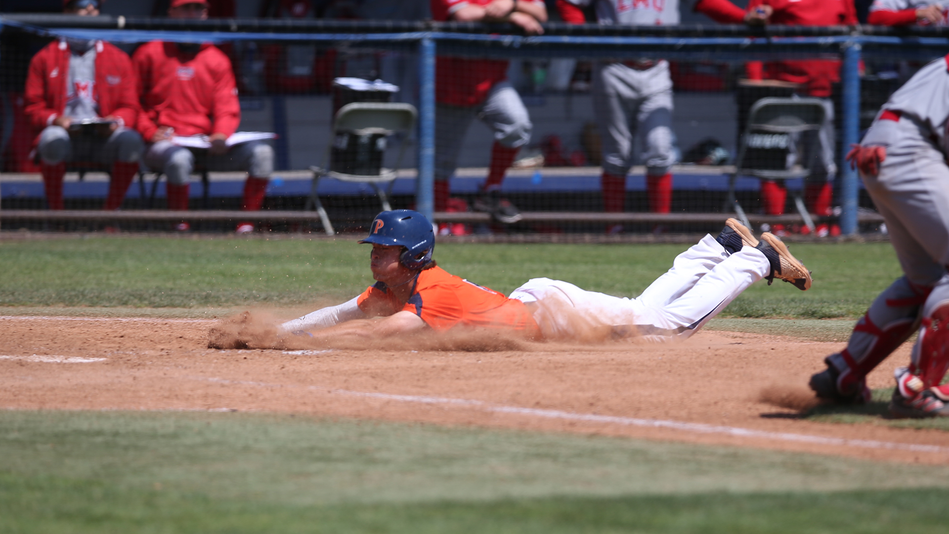 John Peck - Baseball - Pepperdine University Athletics