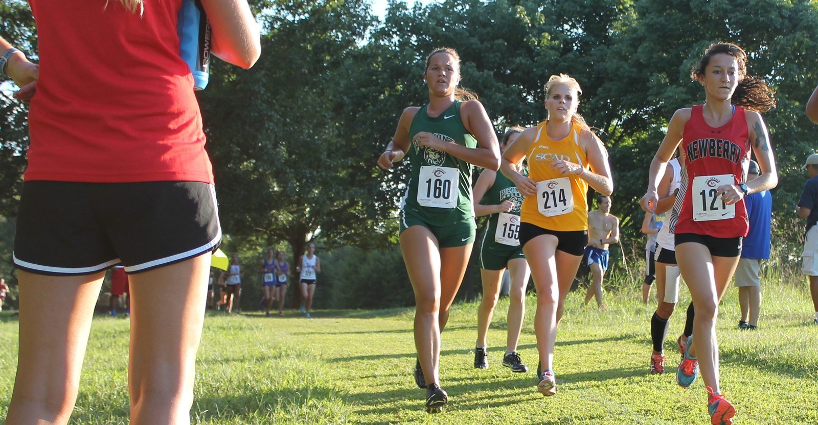 Rachel Tolliver - Women's Cross Country - Piedmont University Athletics