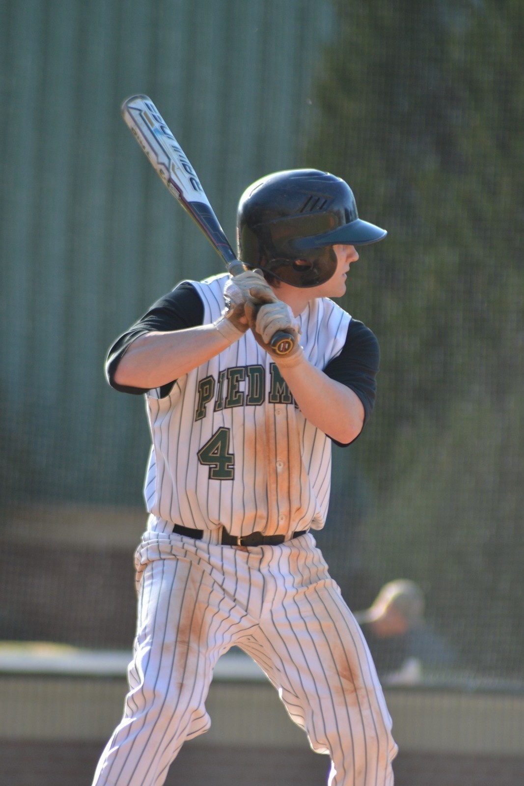 Nathan Holt - Baseball - Piedmont University Athletics