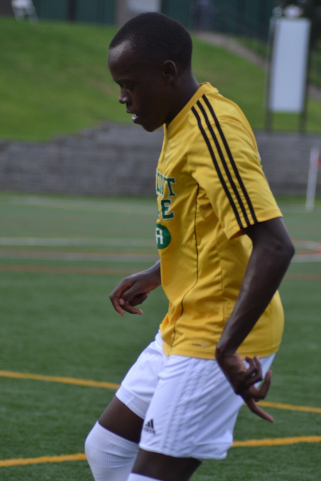 Michael Ohana - Men's Soccer - Piedmont University Athletics