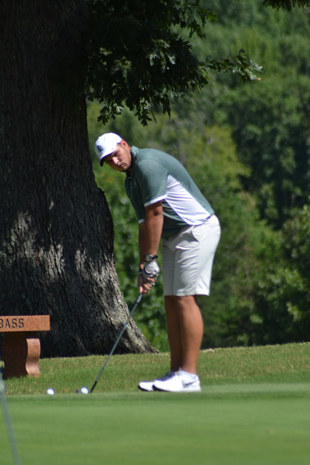 Garrett Rowland - Men's Golf - Piedmont University Athletics