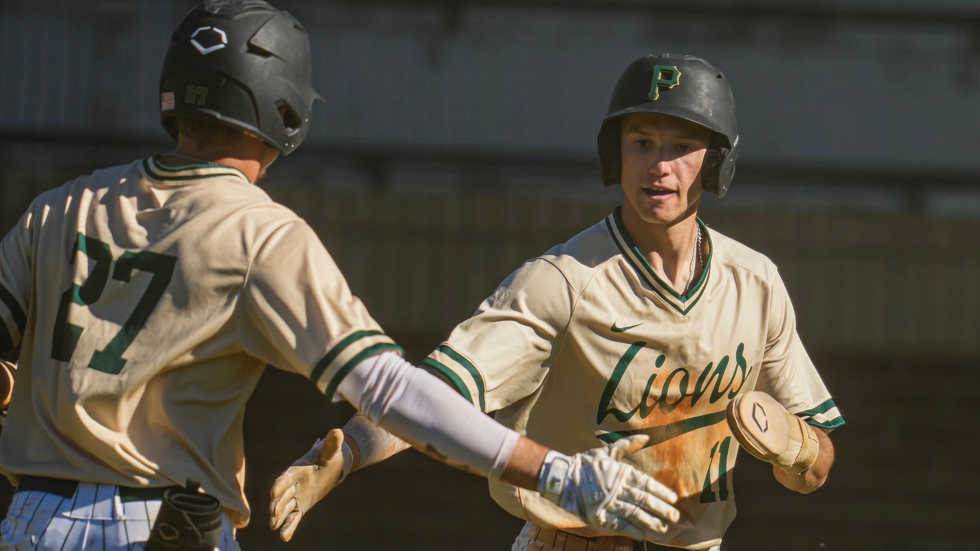 Eighth Inning Comeback Lifts Lions to 4-2 Win Over Ferrum - Piedmont ...