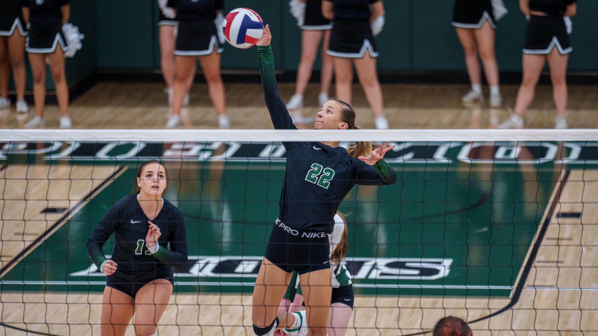 Lions Drop Pair of Matches to Conclude Raleigh Invitational - Piedmont ...