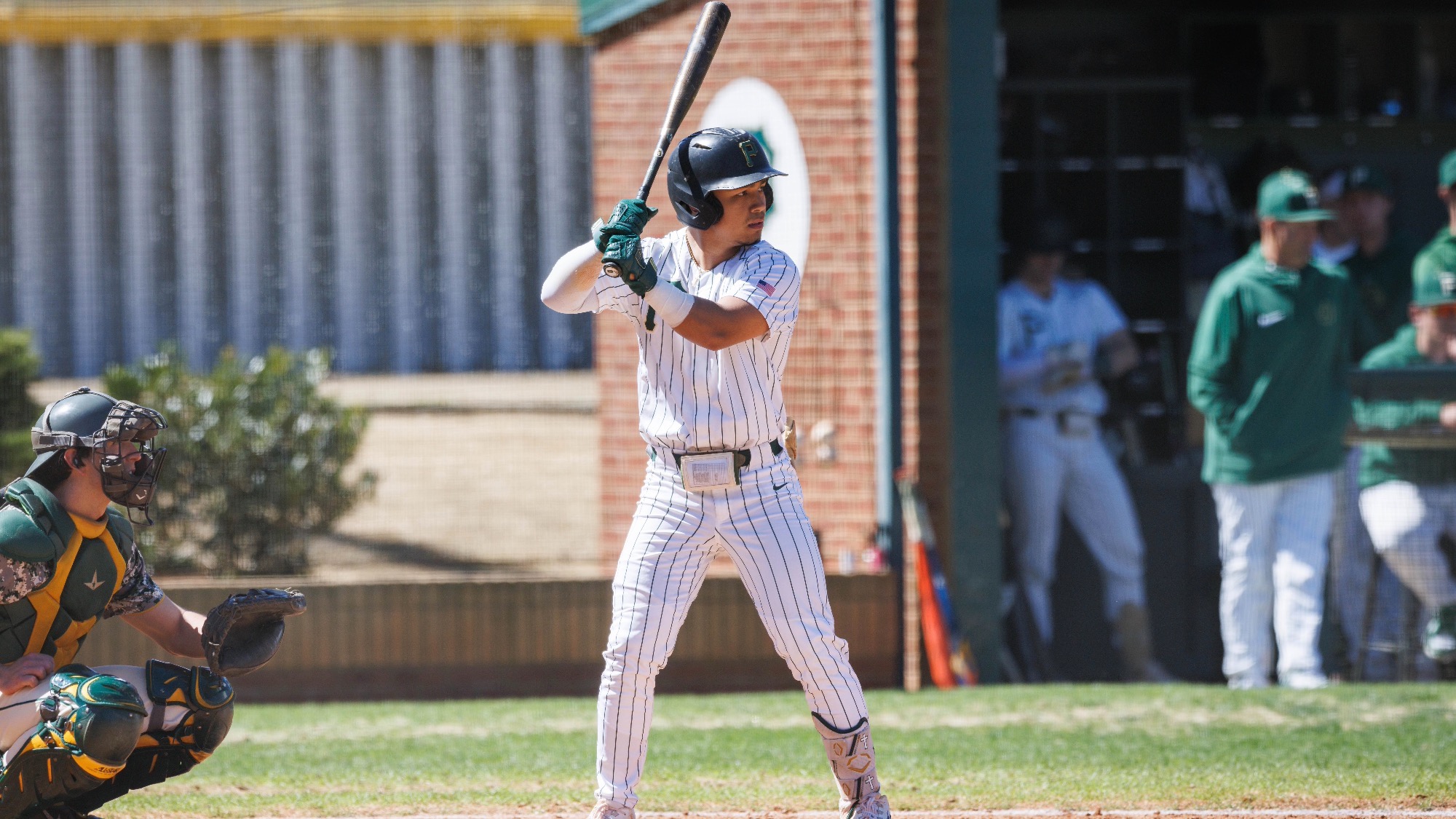 Baseball Shutout by Birmingham-Southern 10-0 - Piedmont University ...