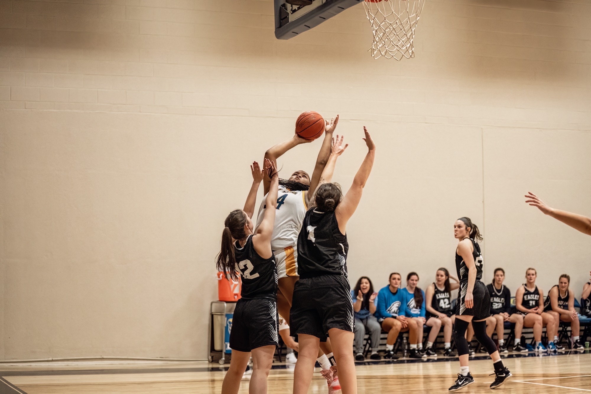 Ashley Roberts - Women's Basketball - Carolina University Athletics