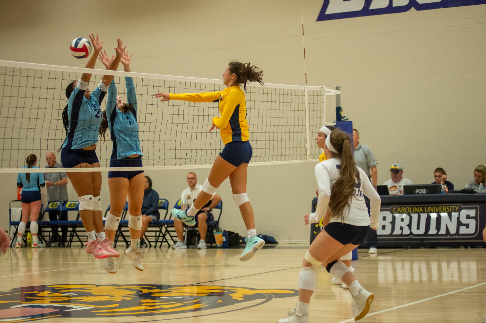 Chiara Mottola - Women's Volleyball - Carolina University Athletics