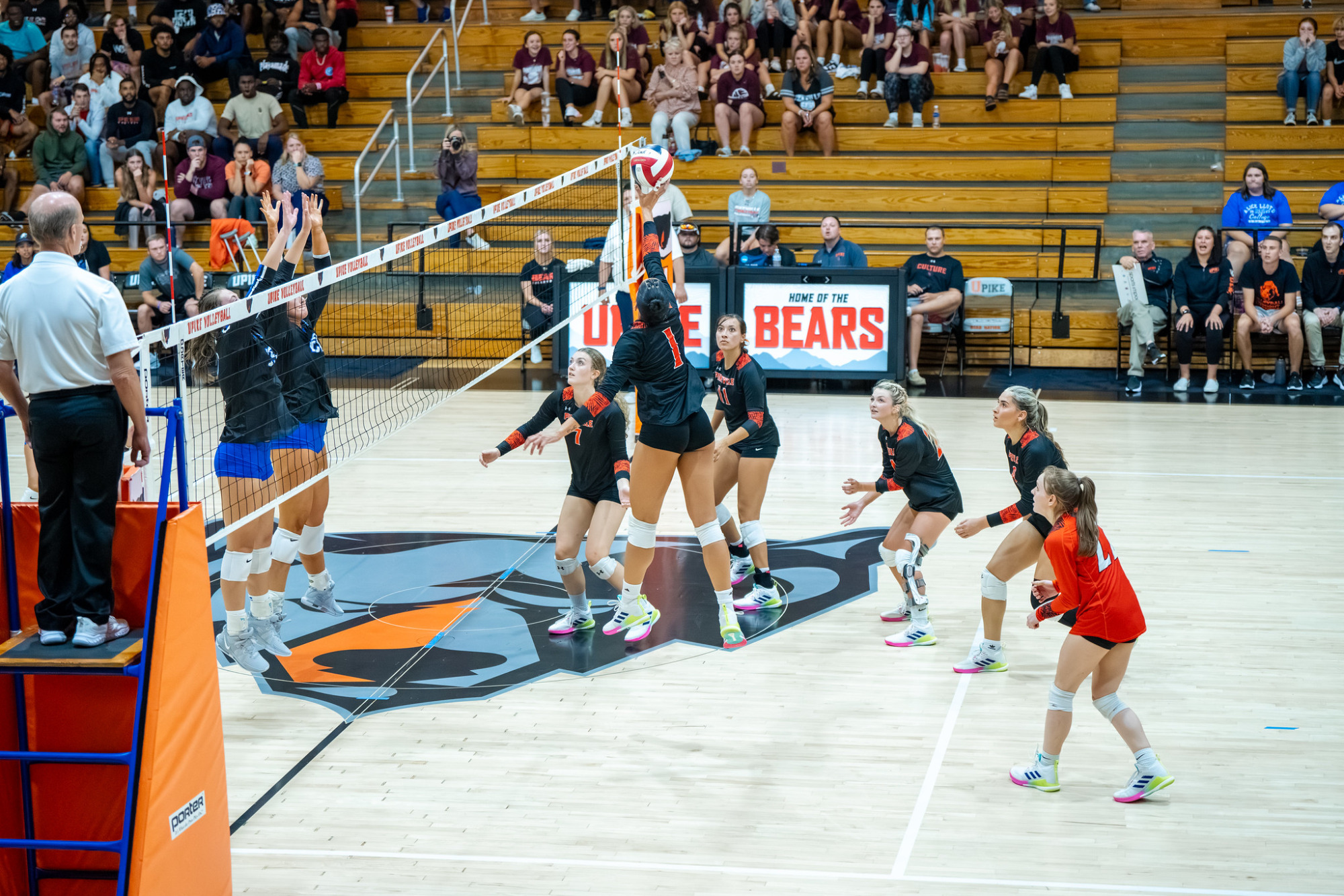 Bears Comeback Falls Short Against Royals - UPIKE Athletics