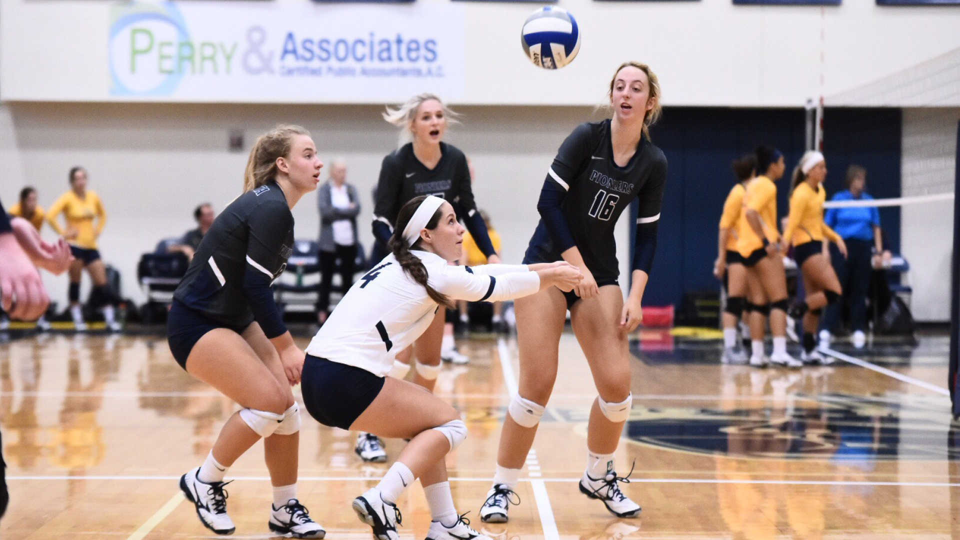 April Davis - Women's Volleyball - Marietta College Athletics