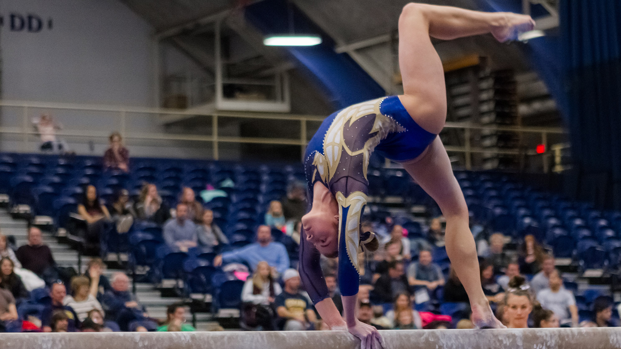Taylor Laymon - Women's Gymnastics - Pitt Panthers #H2P