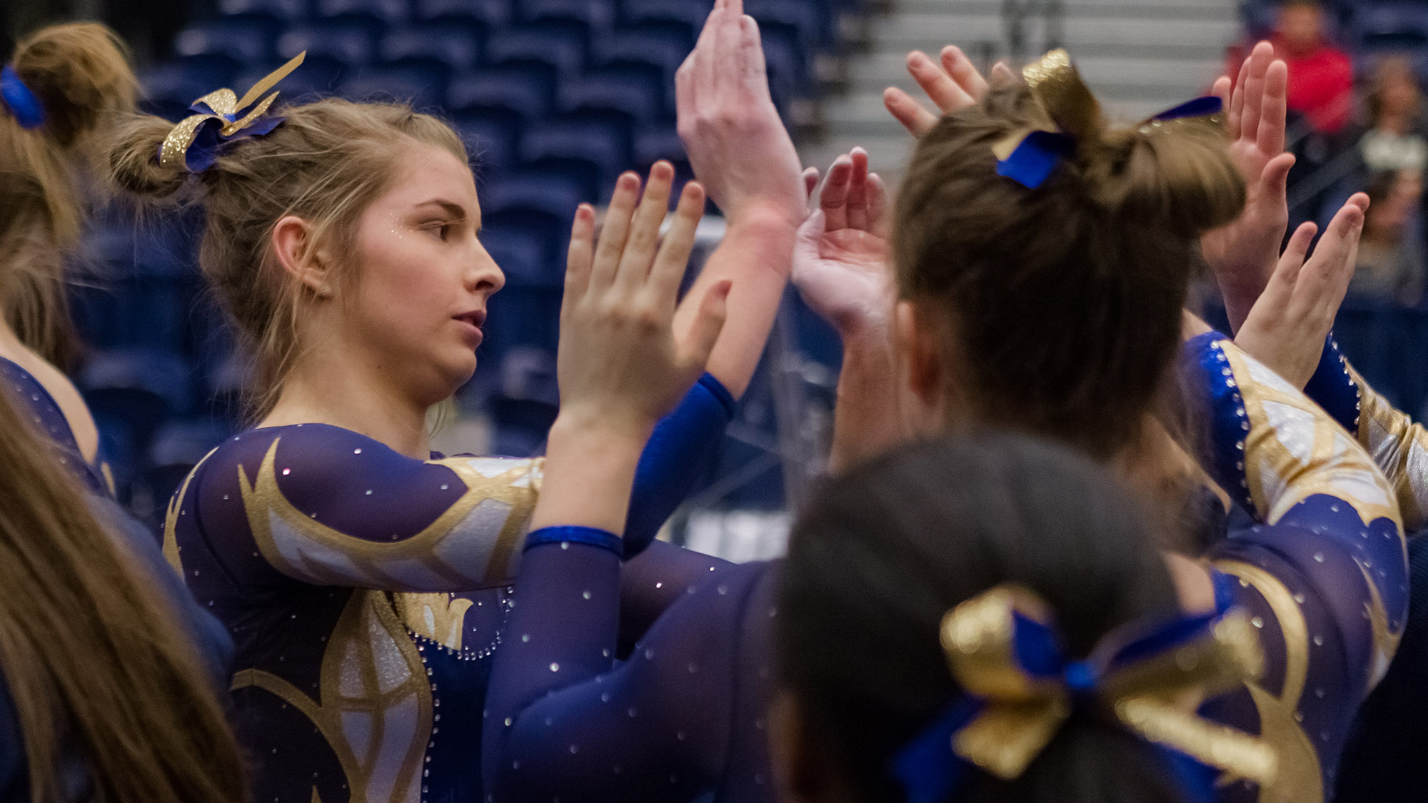 Taylor Laymon - Women's Gymnastics - Pitt Panthers #H2P