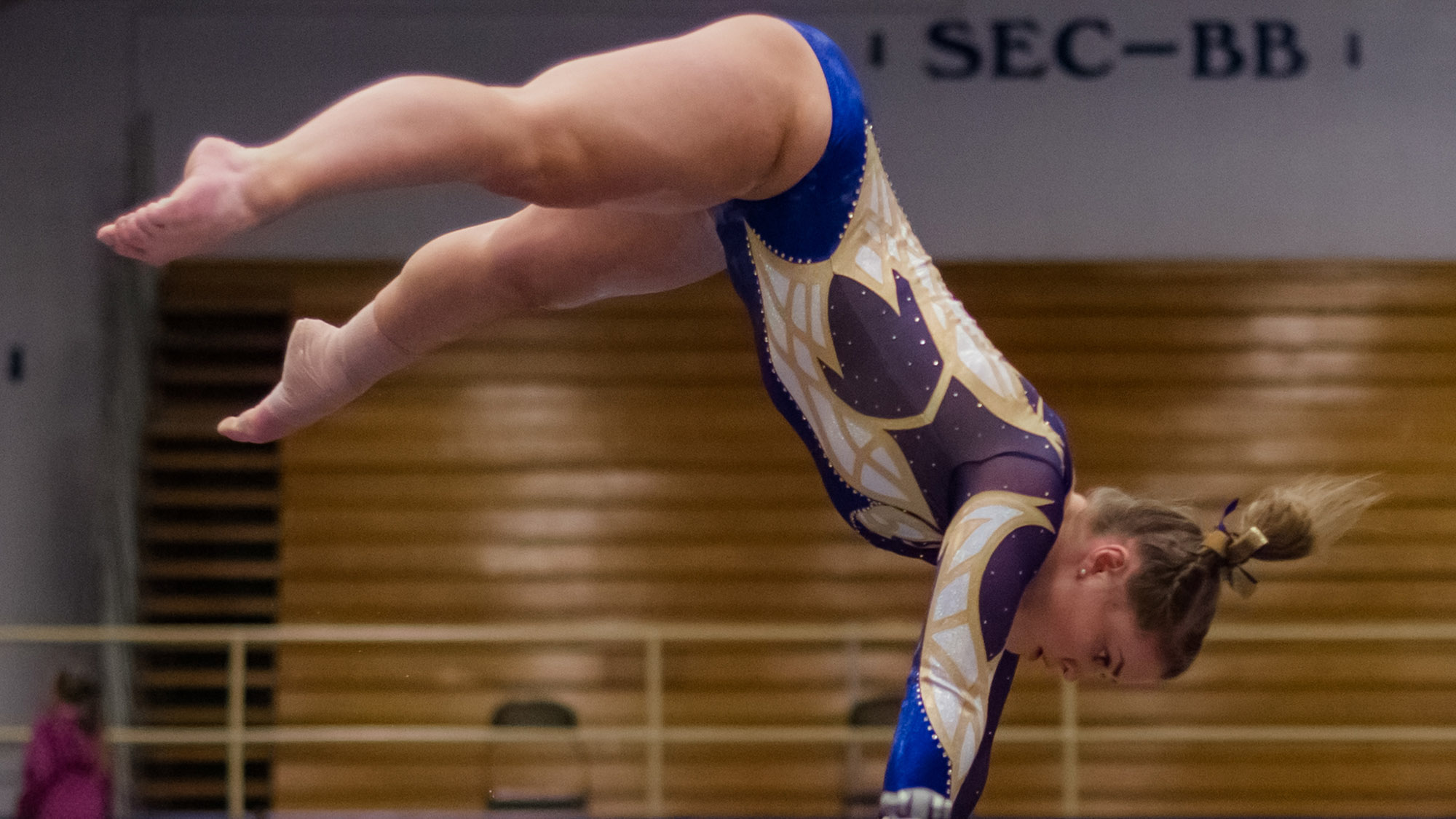 Hallie Peele - Women's Gymnastics - Pitt Panthers #H2P