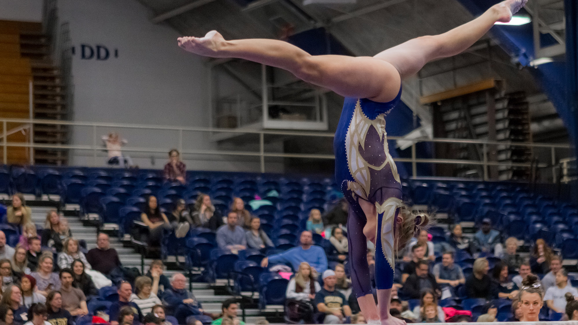 Taylor Laymon - Women's Gymnastics - Pitt Panthers #H2P