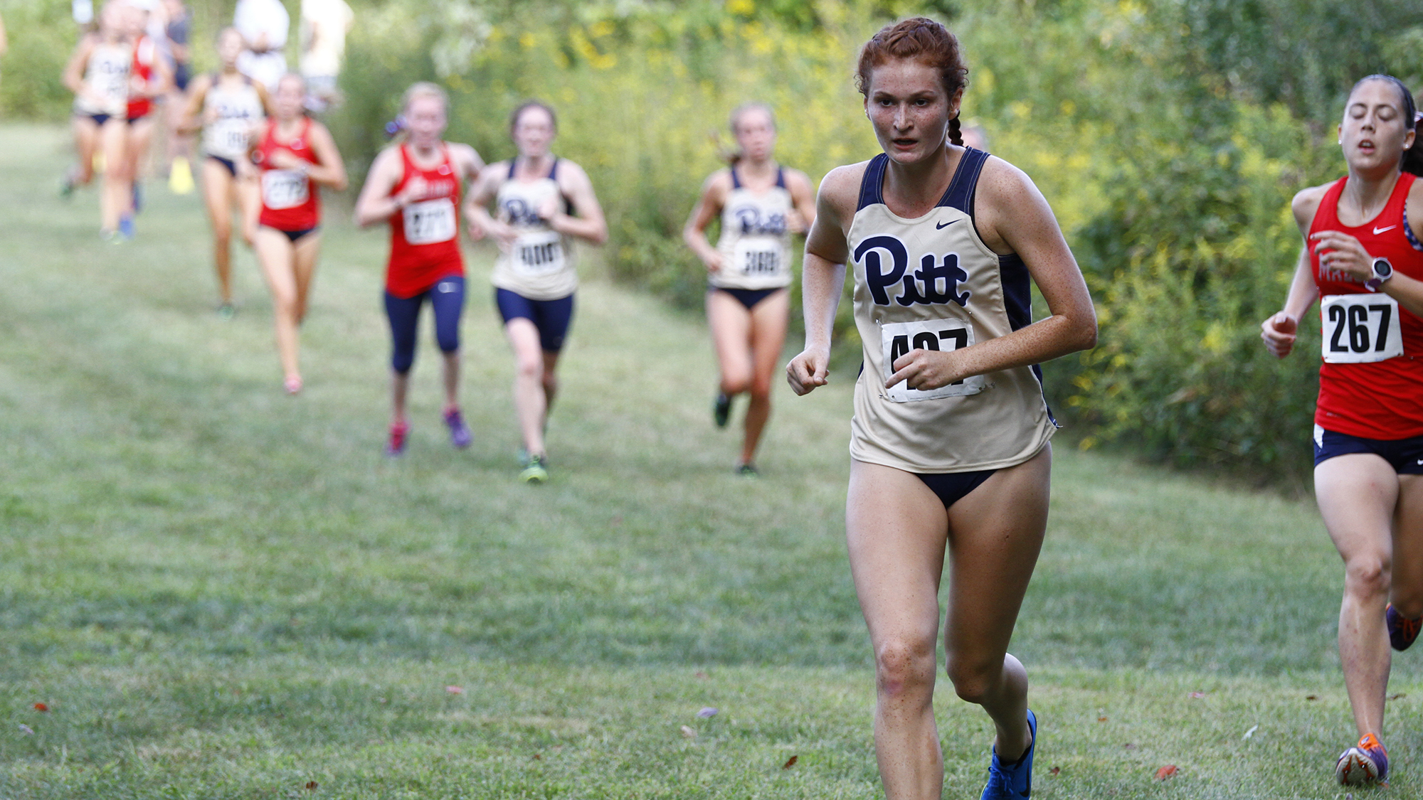 Anja Weiler - Cross Country - Pitt Panthers #H2P