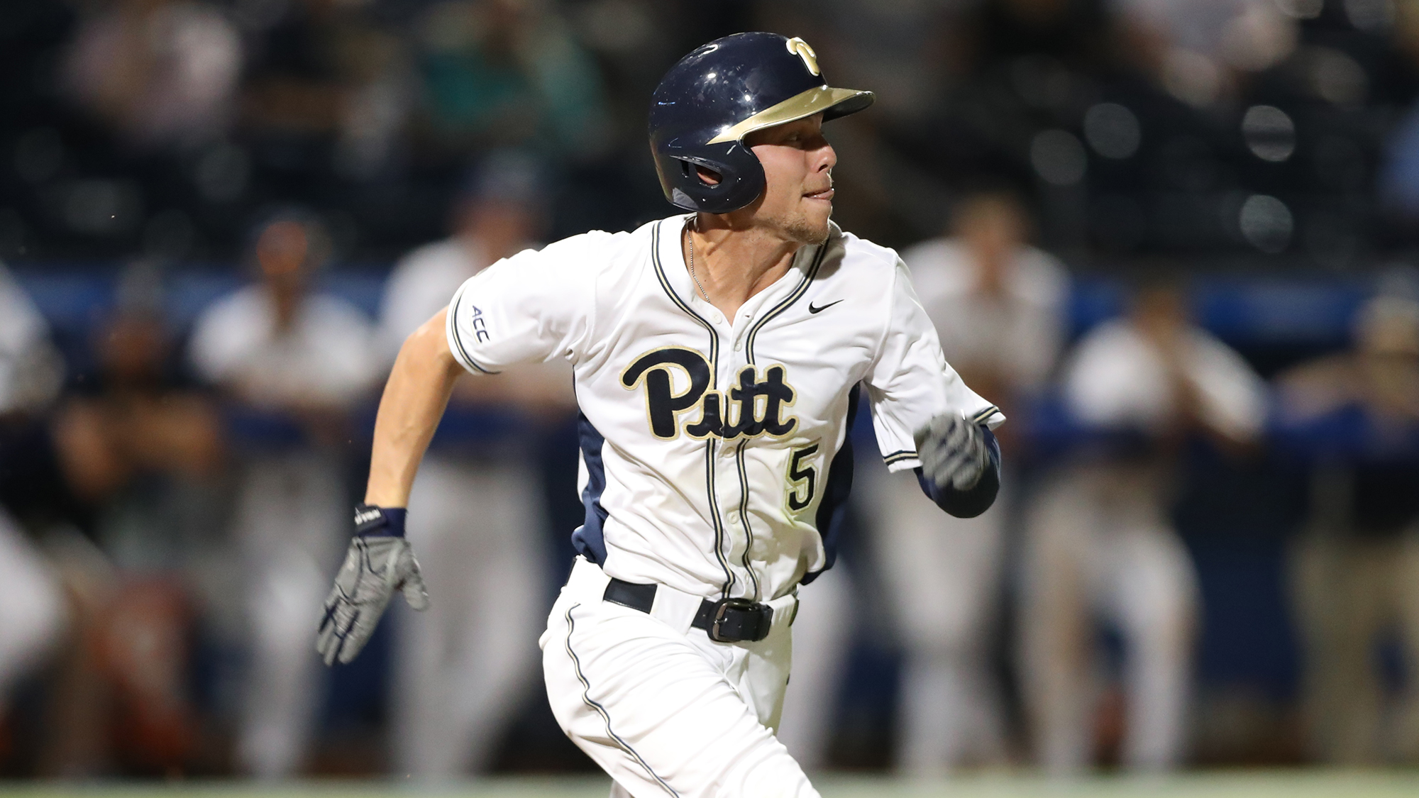 Connor Perry - Baseball - Pitt Panthers #H2P