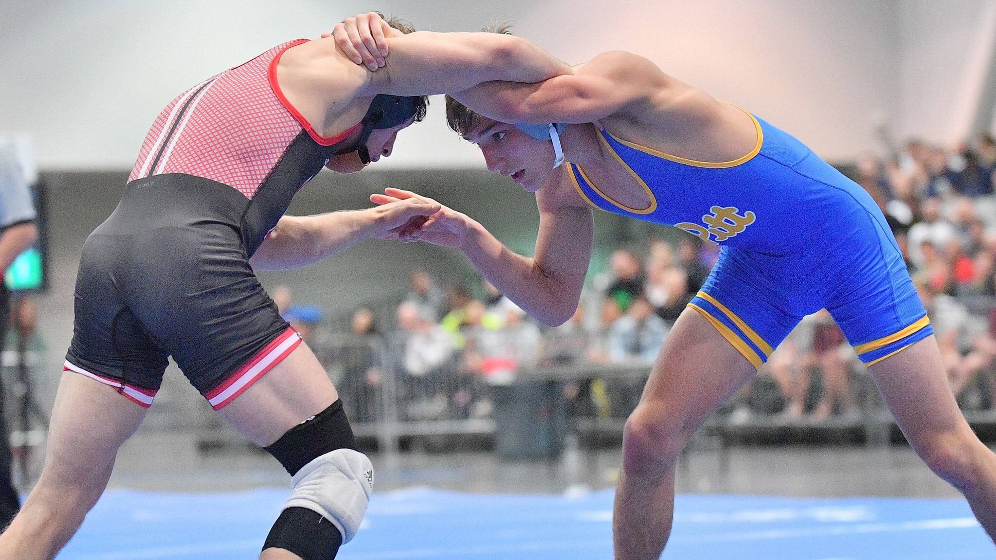 Micky Phillippi - Wrestling - Pitt Panthers #H2P