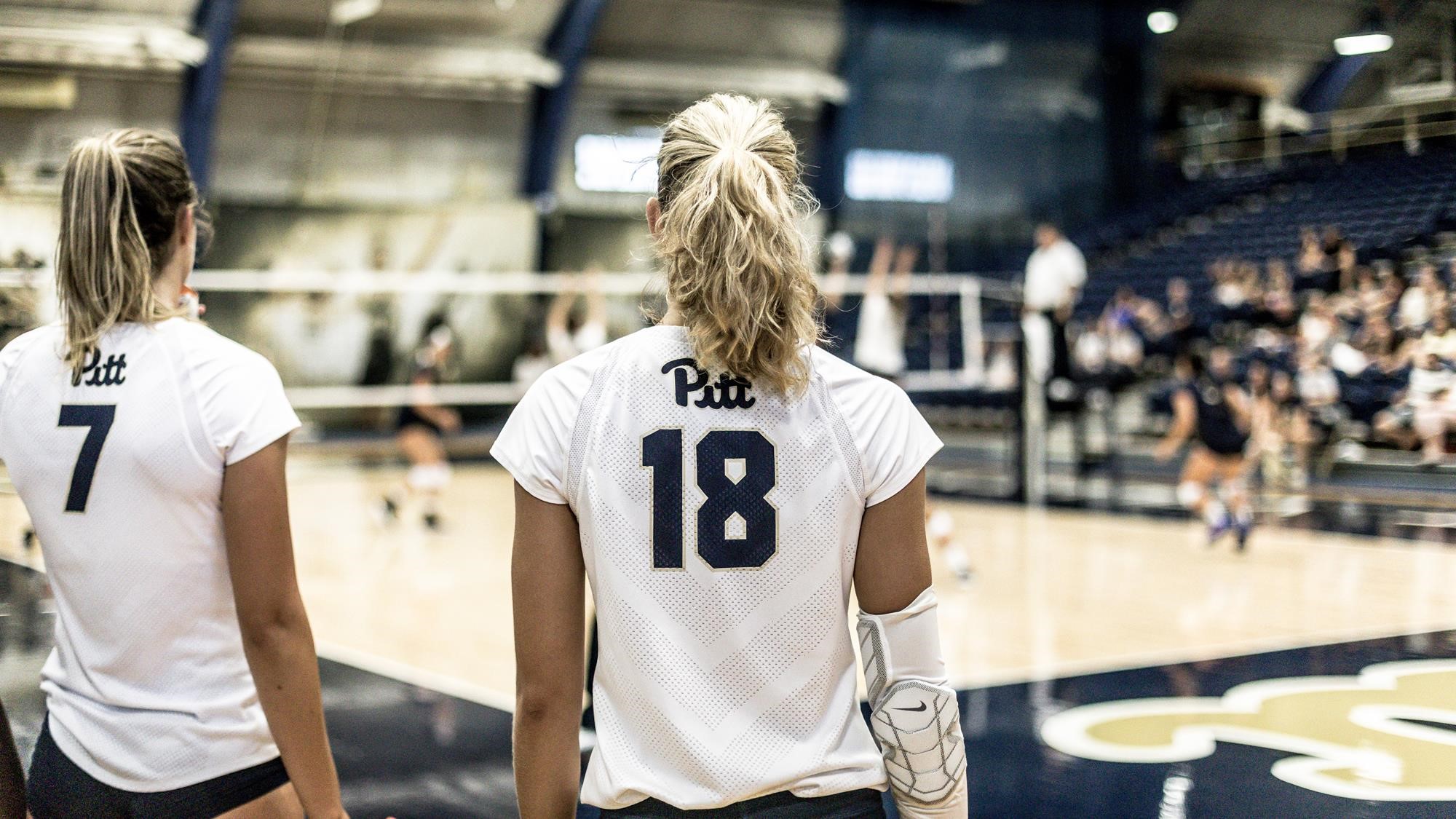 Natalie Steibel - Women's Volleyball - Pitt Panthers #H2P