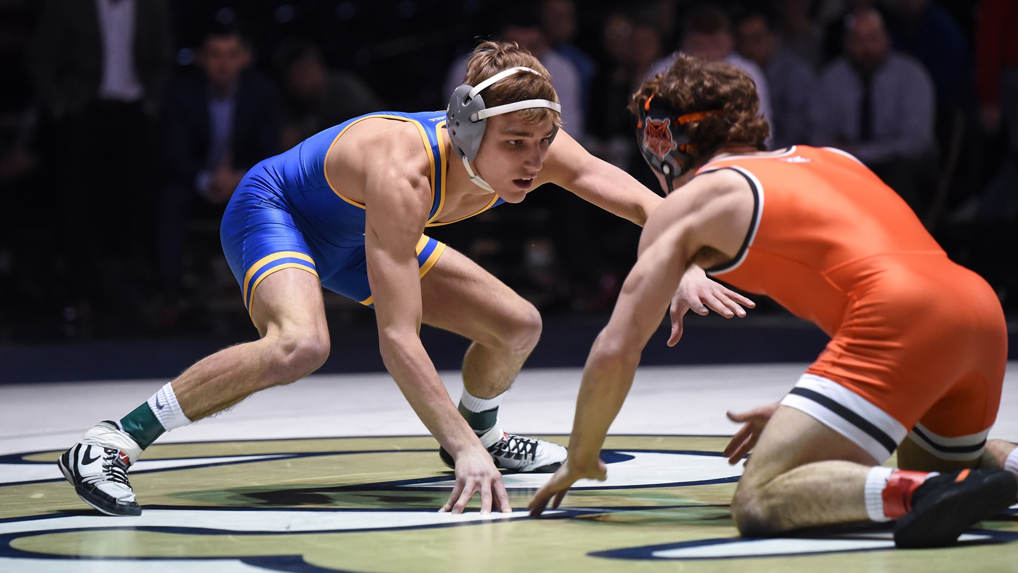 Micky Phillippi - Wrestling - Pitt Panthers #H2P