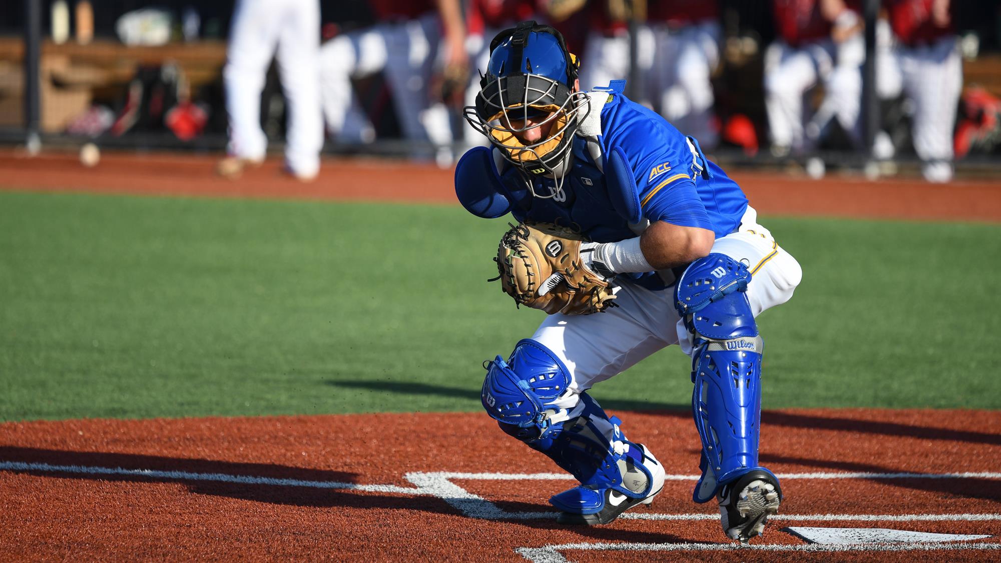 Nick Vera - Baseball - Pitt Panthers #H2P