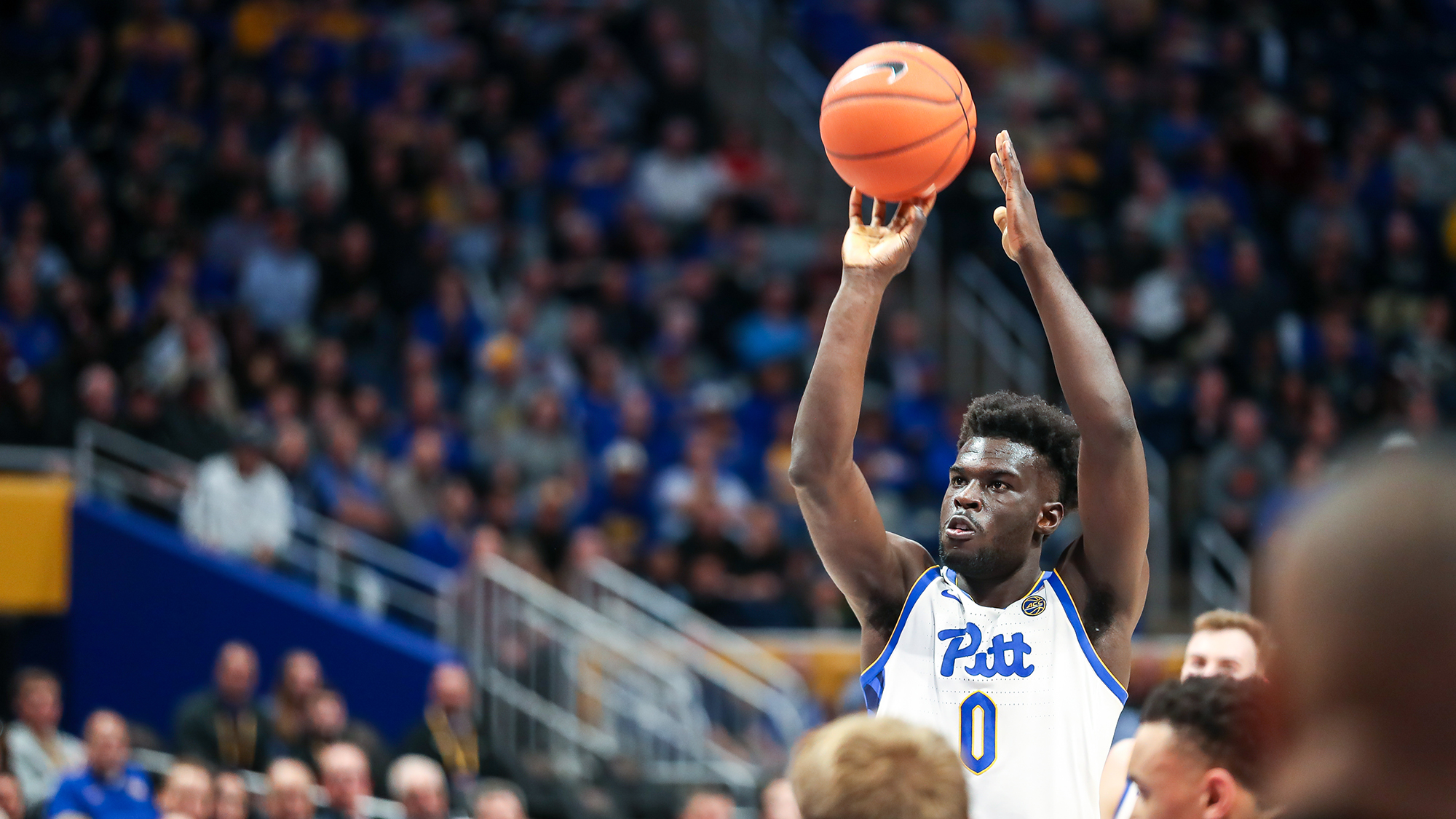 Eric Hamilton - Men's Basketball - Pitt Panthers #H2P