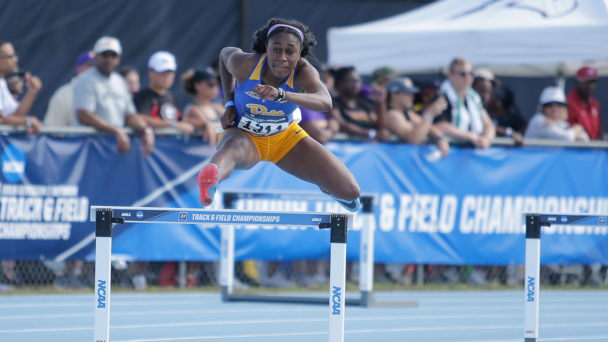 Sydni Townsend - Track & Field - Pitt Panthers #H2P