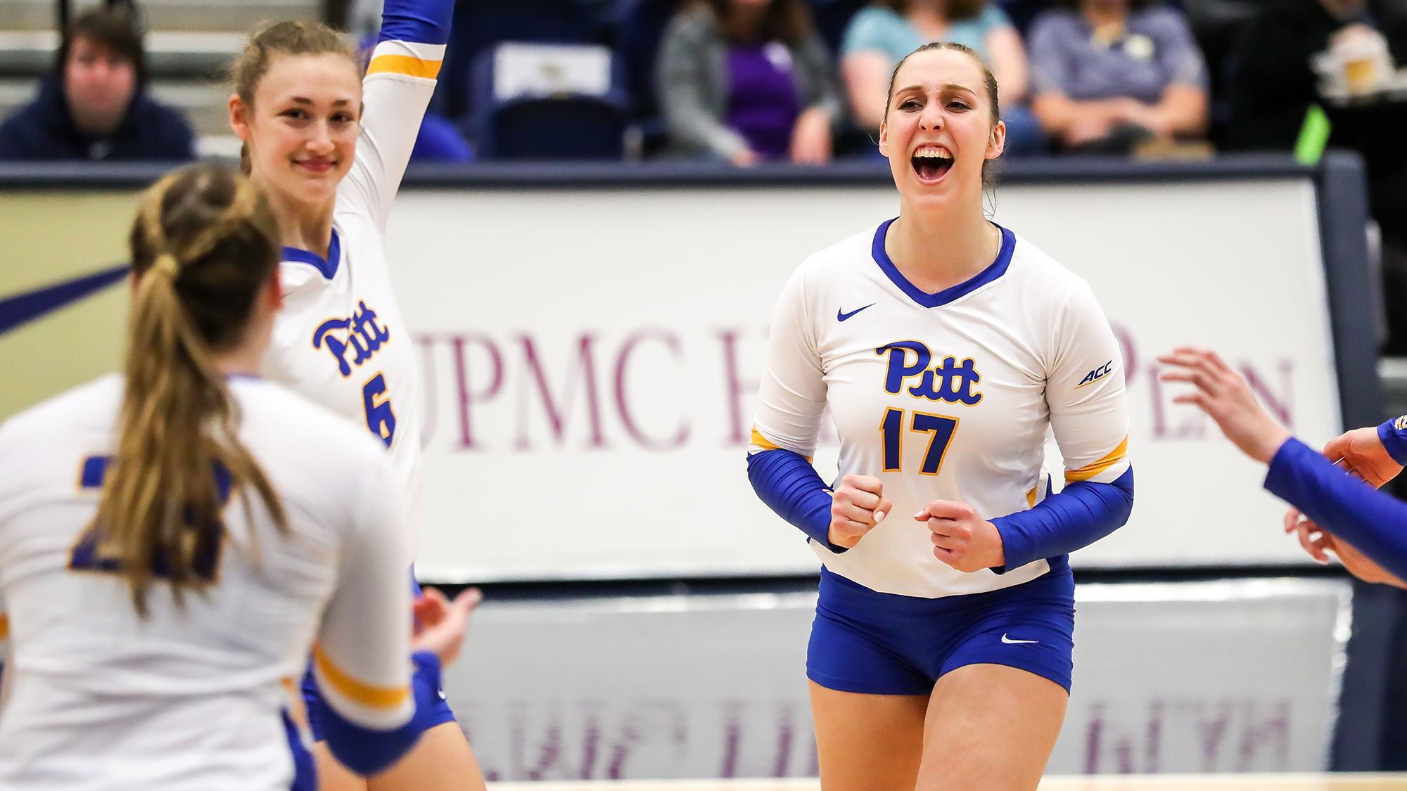 Nika Markovic - Women's Volleyball - Pitt Panthers #H2P