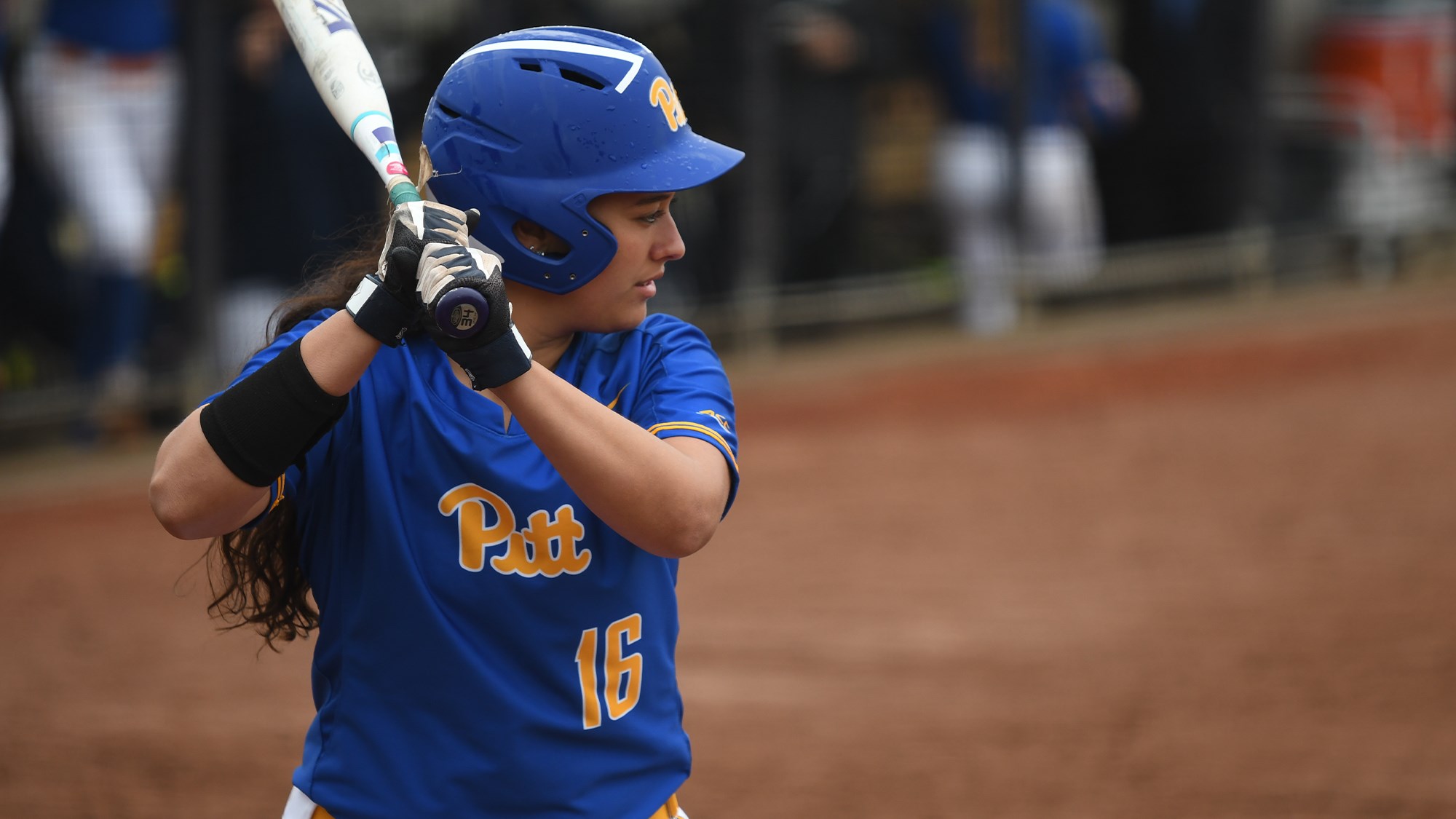 Nava Susi - Softball - Pitt Panthers #H2P