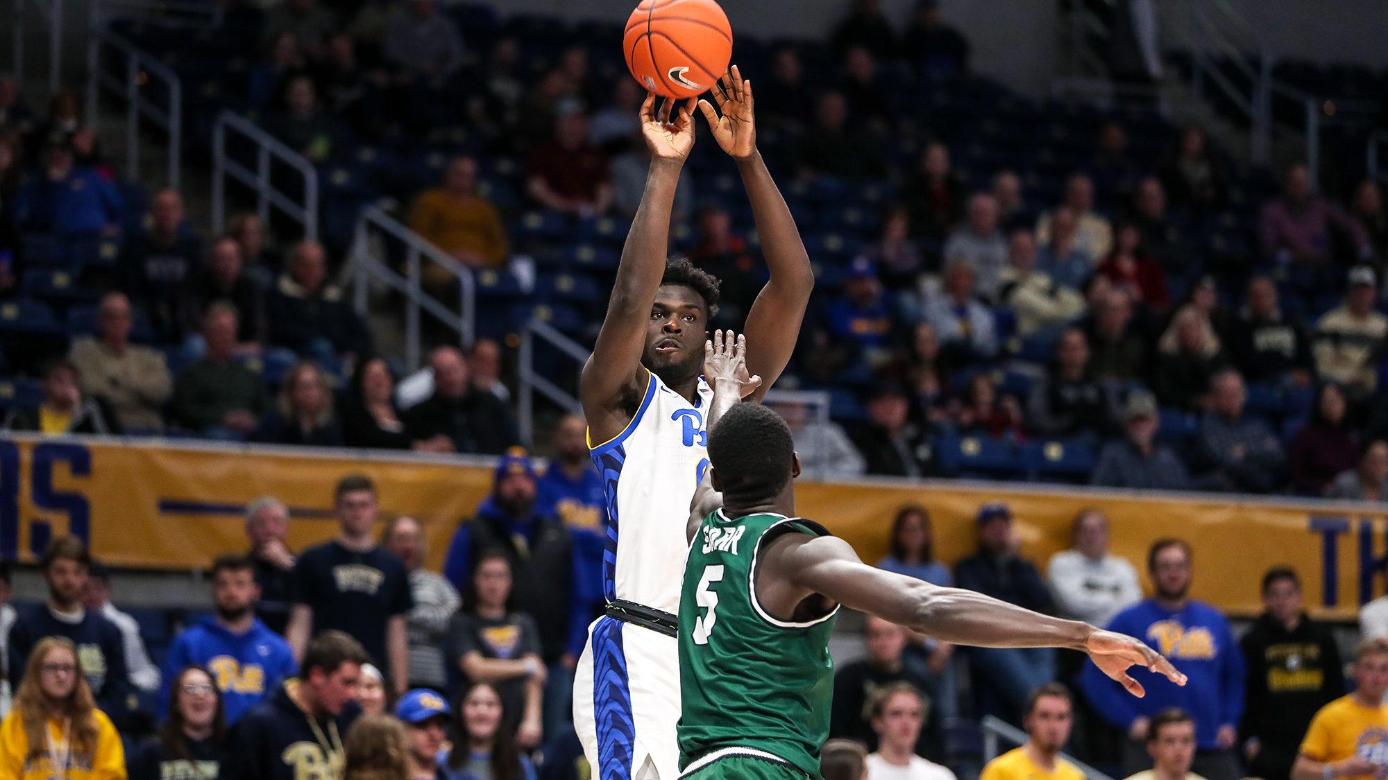 Eric Hamilton - Men's Basketball - Pitt Panthers #H2P